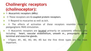 Cholinergic system 1 | PPTX | Brain and Nervous System Disorders ...