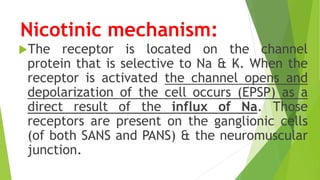 Cholinergic system 1 | PPTX | Brain and Nervous System Disorders ...
