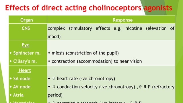 Cholinergic system 1 | PPT