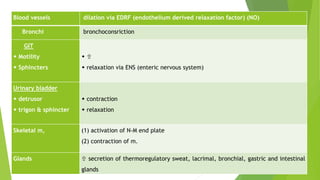 Cholinergic system 1