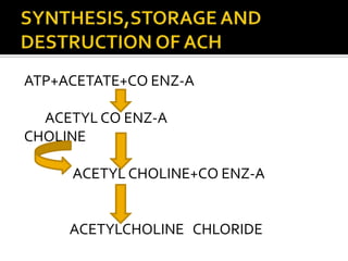 Cholinergic system and drugs | PPTX