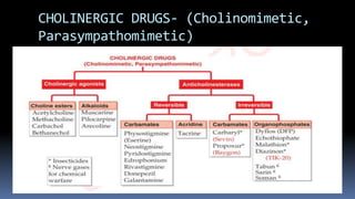 Cholinergic system and drugs | PPTX