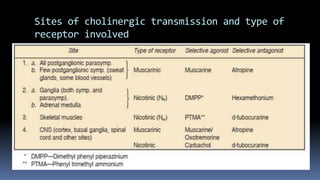 Cholinergic system and drugs | PPT