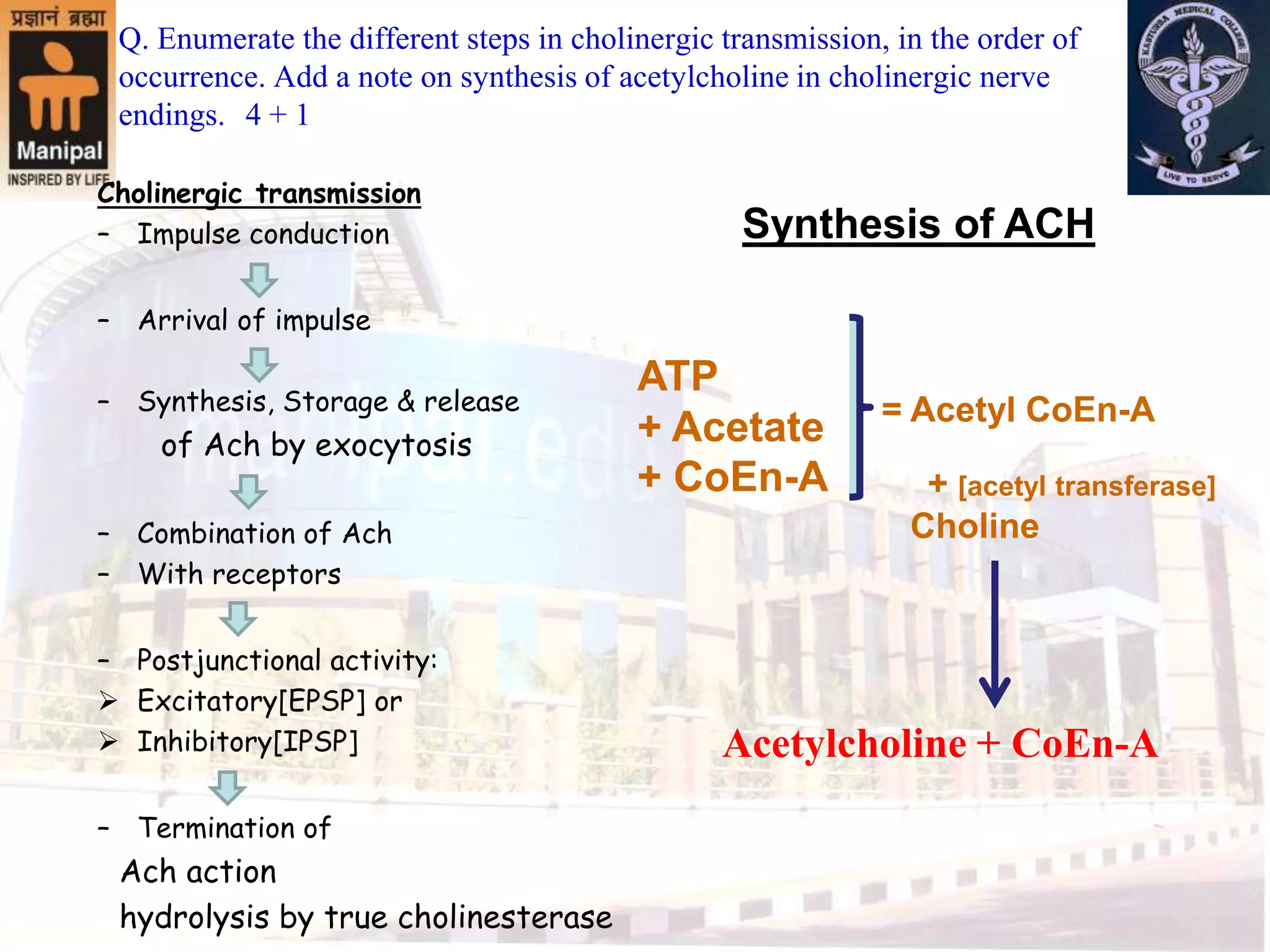 Cholinergic system model questions & answers | PPTX