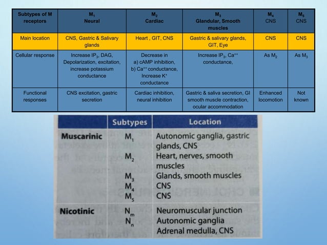 Cholinergic system and Cholinomimetic Drugs by Dr.Pawan | PPTX