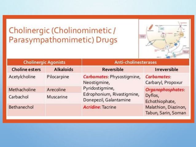 Cholinergic system and Cholinomimetic Drugs by Dr.Pawan | PPTX