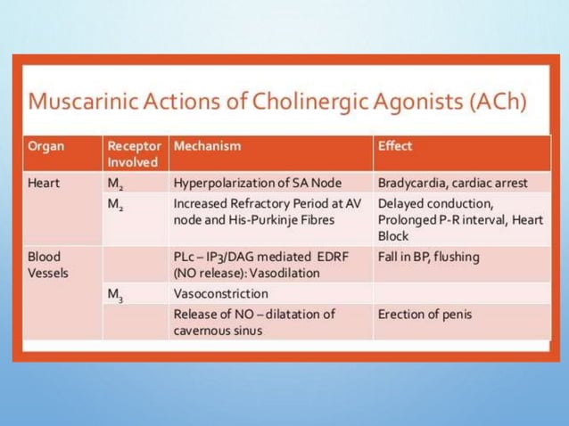 Cholinergic system and Cholinomimetic Drugs by Dr.Pawan | PPTX