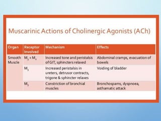 Cholinergic system and Cholinomimetic Drugs by Dr.Pawan | PPTX