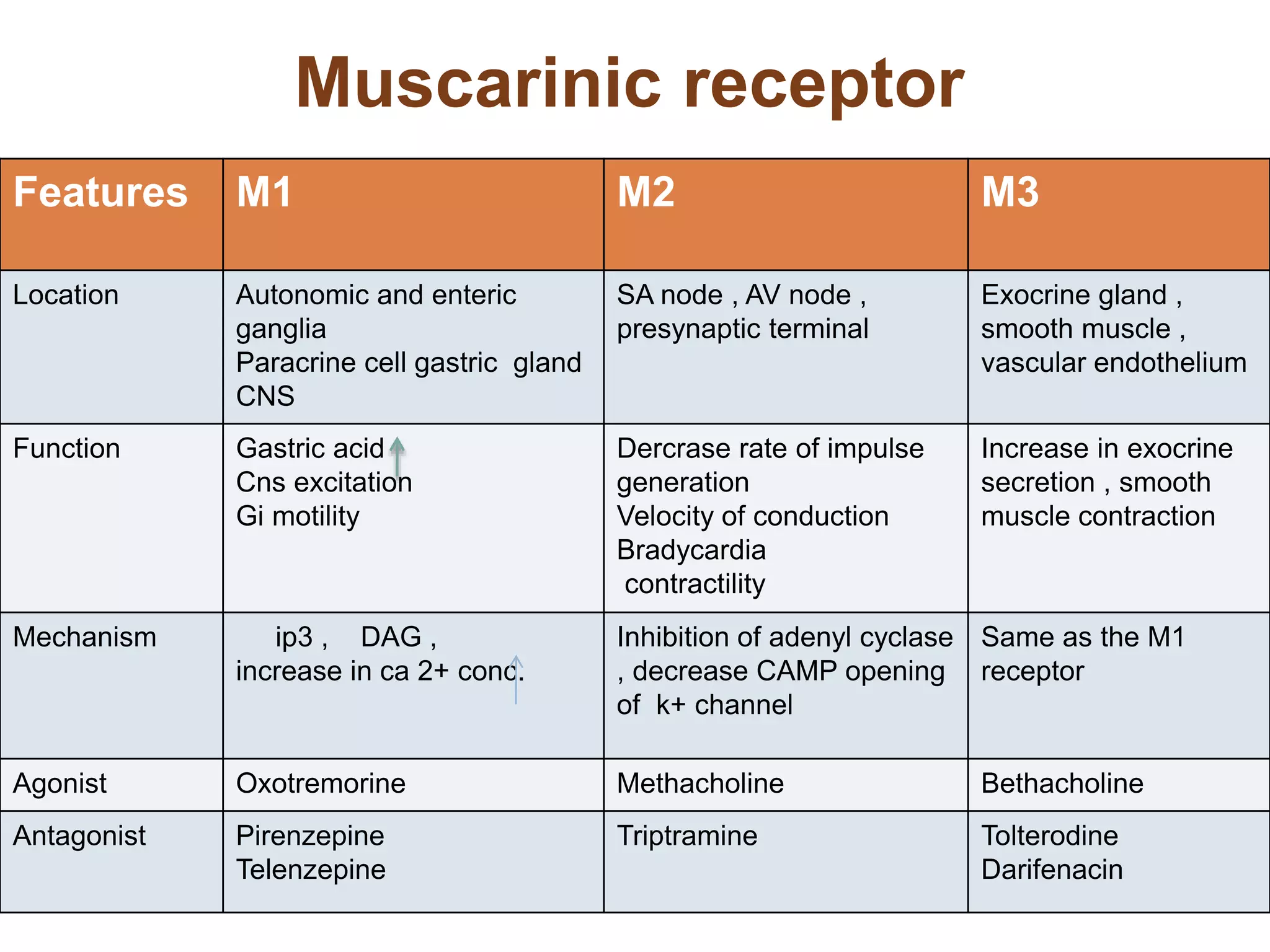 Cholinergic transmission and drugs | PPTX
