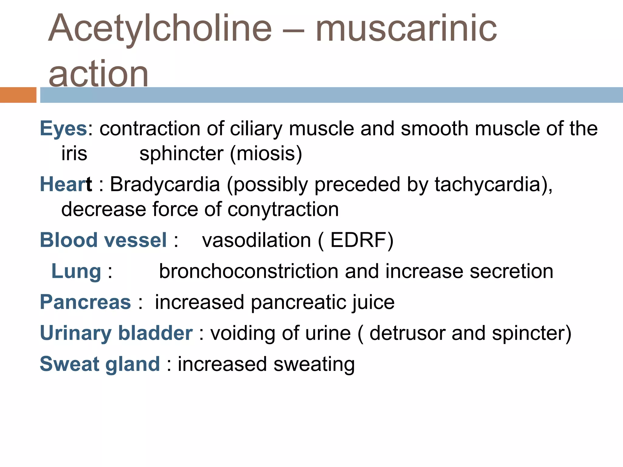 Cholinergic transmission and drugs | PPTX