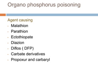 Cholinergic transmission and drugs | PPTX