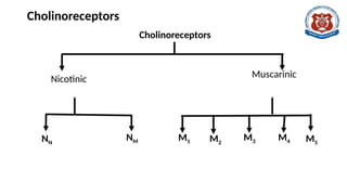 Cholinergic Transmission & Cholinergic Drugs.pptx