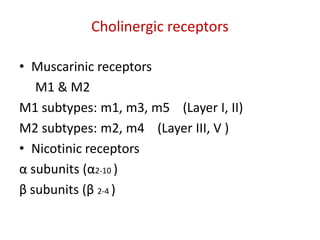 Cholinergic transmission in CNS -An Overview | PPT