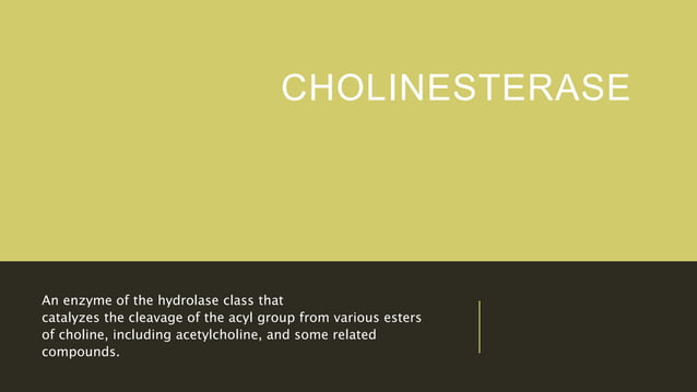 Cholinesterase | PPTX | Genetics | Science