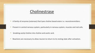 Cholinestrases | PPTX