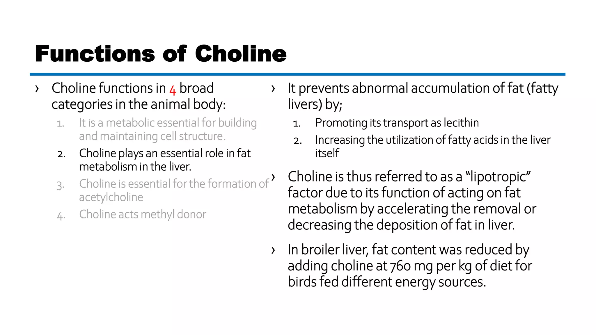 Choline_Transition Dairy Cows_Fatty Liver.pptx
