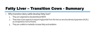 Choline_Transition Dairy Cows_Fatty Liver.pptx | Free Download