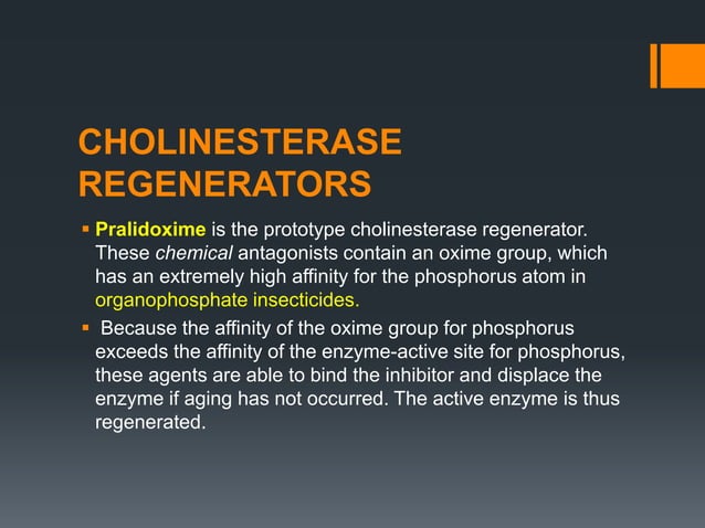 Cholinoceptor Blockers | PPTX | Brain and Nervous System Disorders ...
