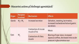 CHOLINERGIC | PPT