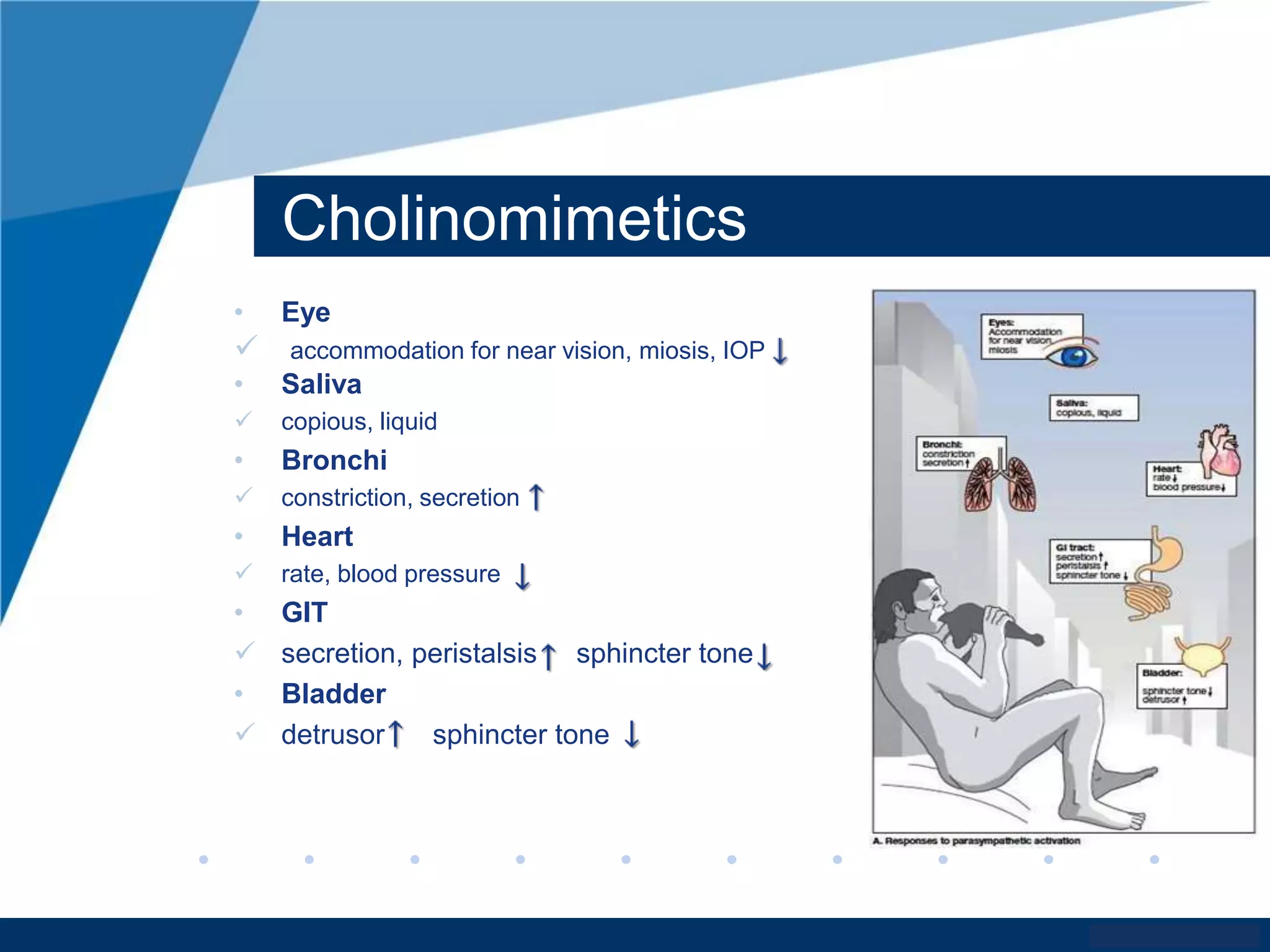 Cholinomimetics | PPTX