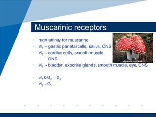Cholinomimetics | PPTX