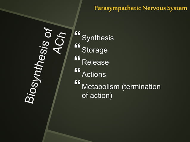 Cholinomimetics | PPT