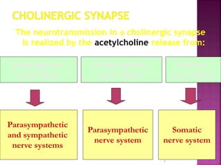 Cholinomimetics | PPT