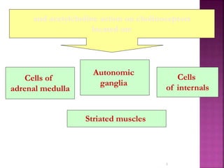 Cholinomimetics | PPT