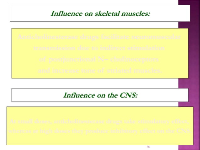 Cholinomimetics | PPT