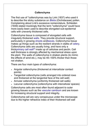 Chollenchyma | DOCX | Gardening | Home & Garden