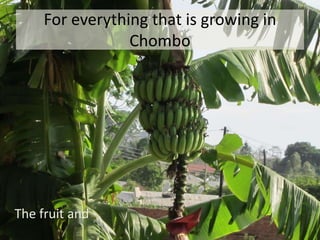 Chombo Mission 2015 (in English) | PDF