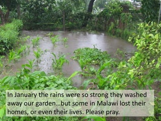 Chombo Mission 2015 (in English) | PDF