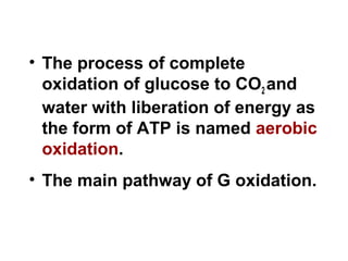 Carbohydrate Mechanism | PPT