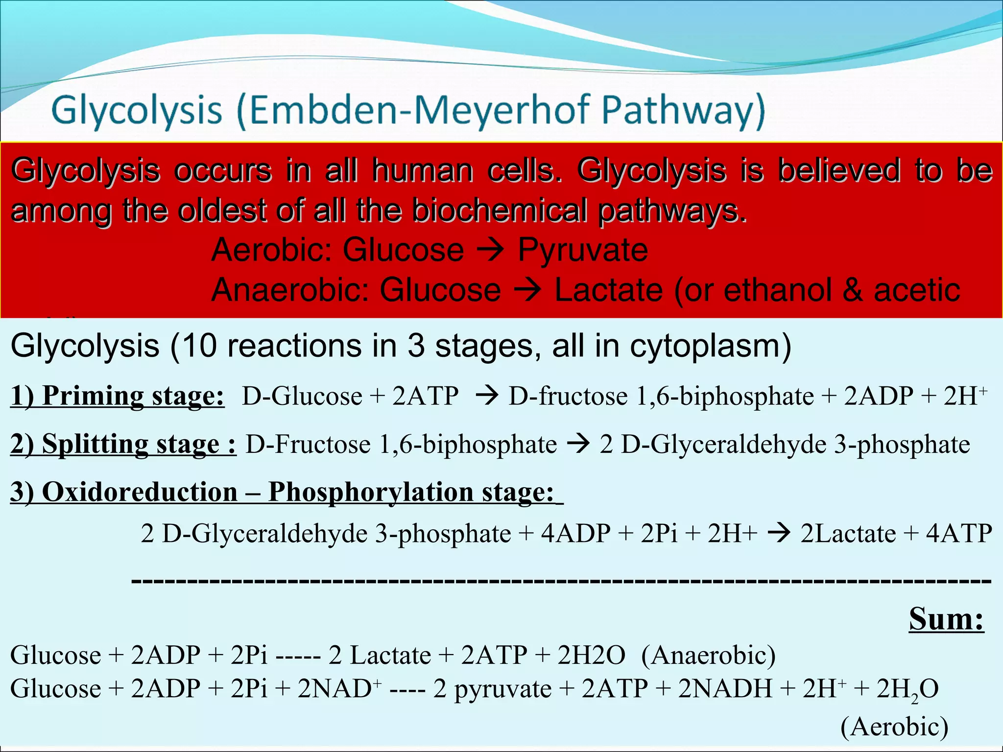 CHO metabolism | PPT