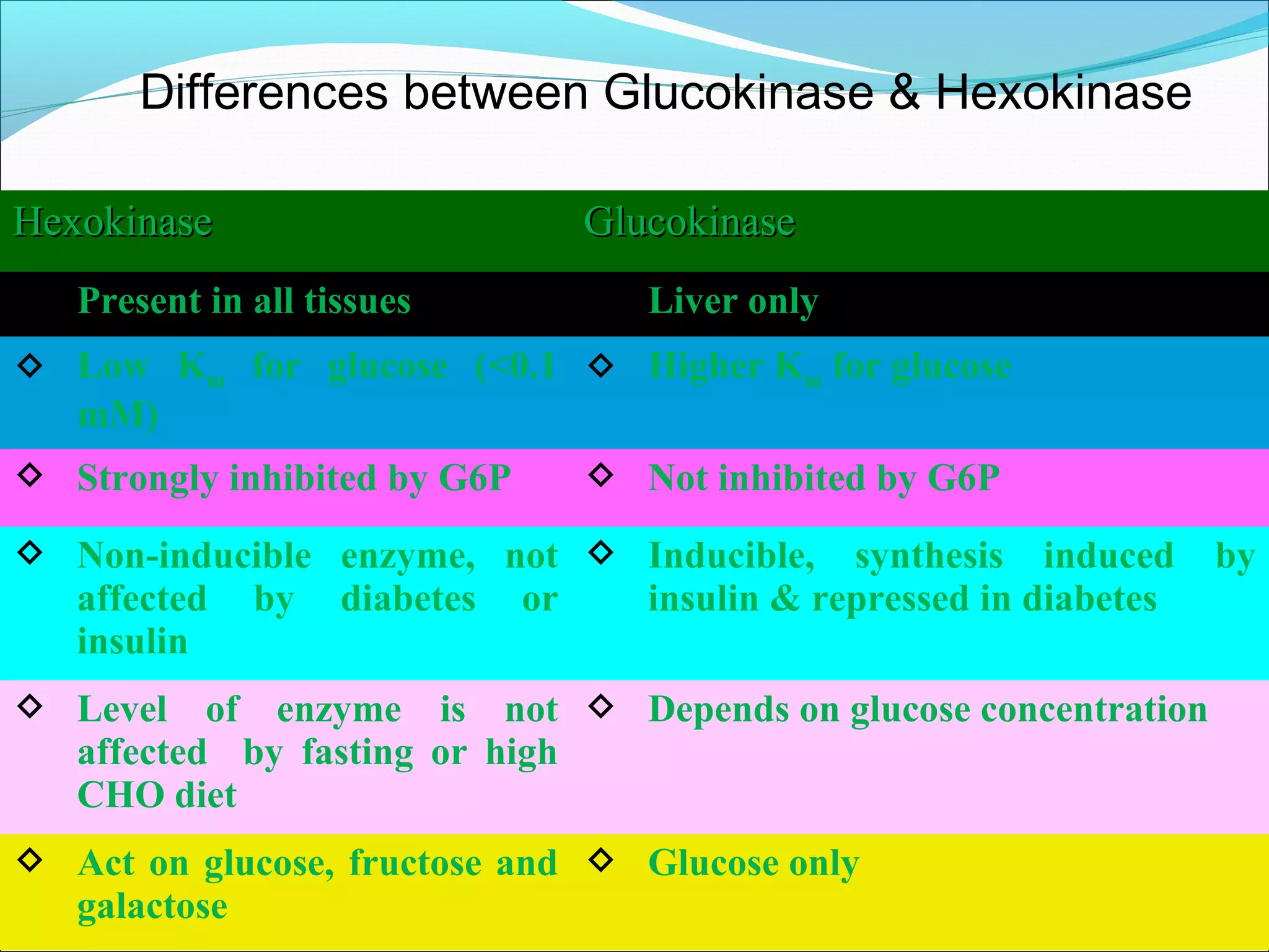 CHO metabolism | PPT