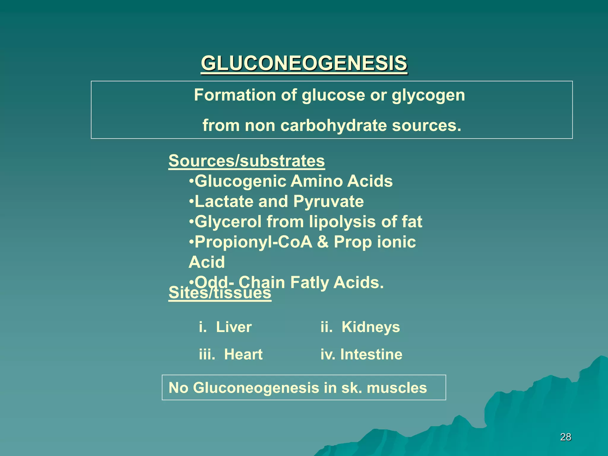 CHO Metabolism.ppt