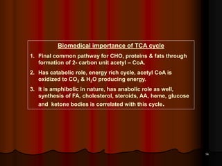 CHO Metabolism.ppt