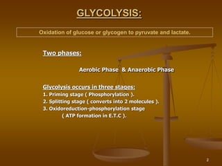 CHO Metabolism.ppt