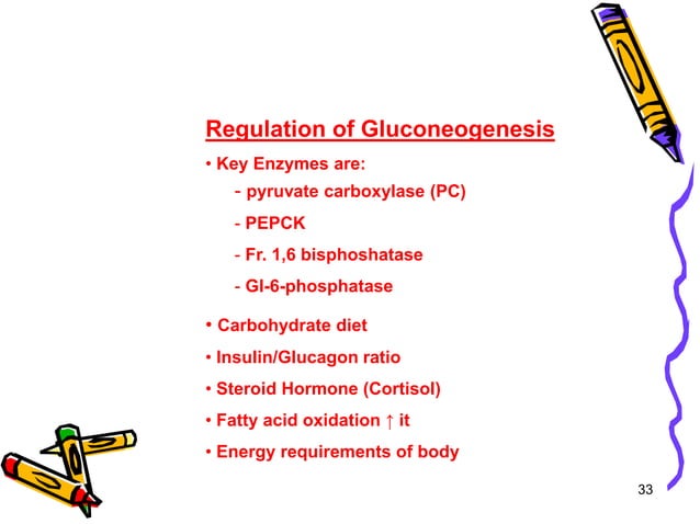 CHO Metabolism.ppt | Endocrine and Metabolic Diseases | Diseases and ...
