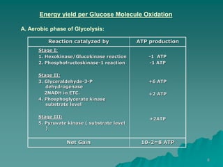 CHO Metabolism.ppt