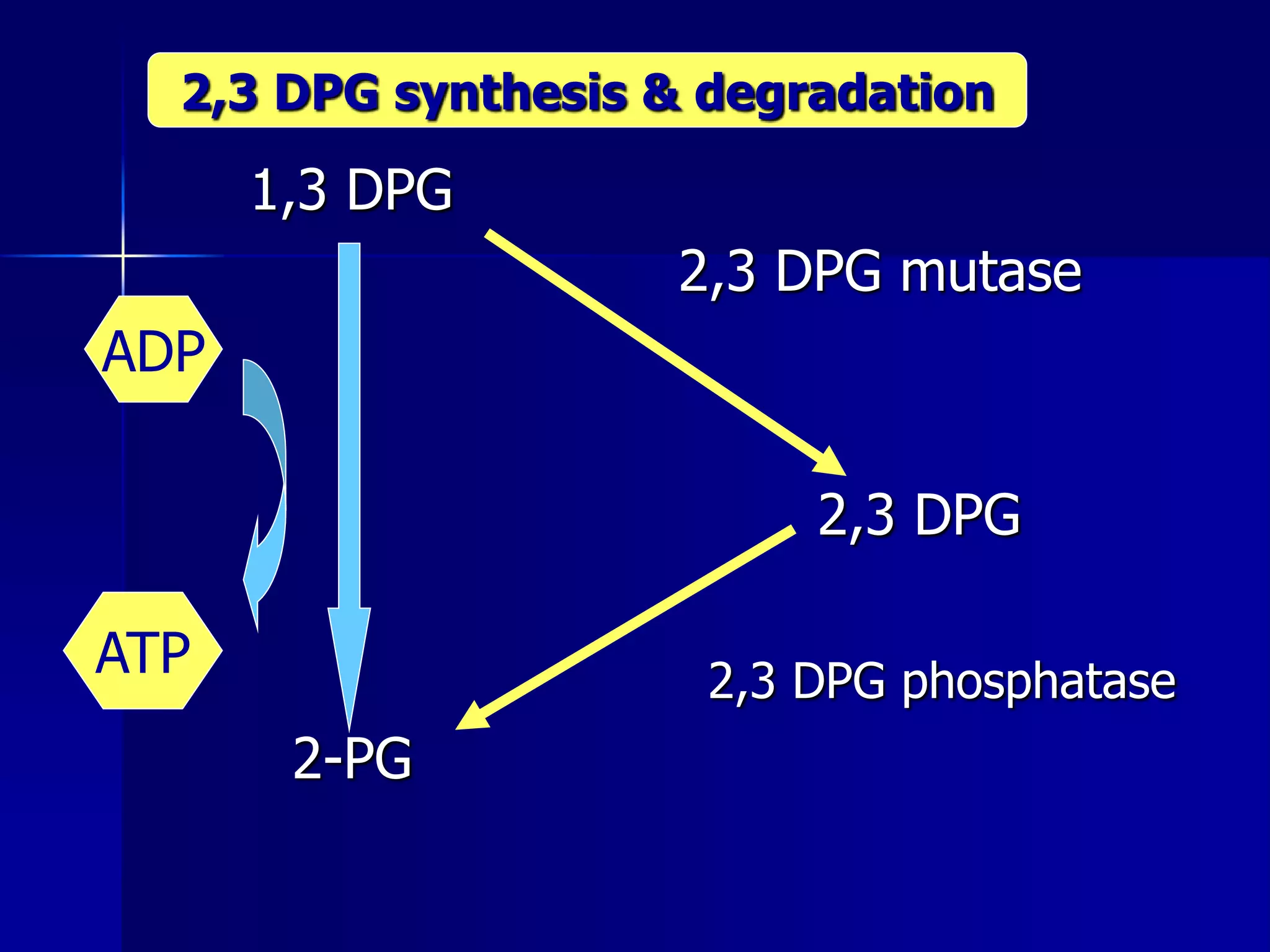 CHO metabolism MDBC803.ppt