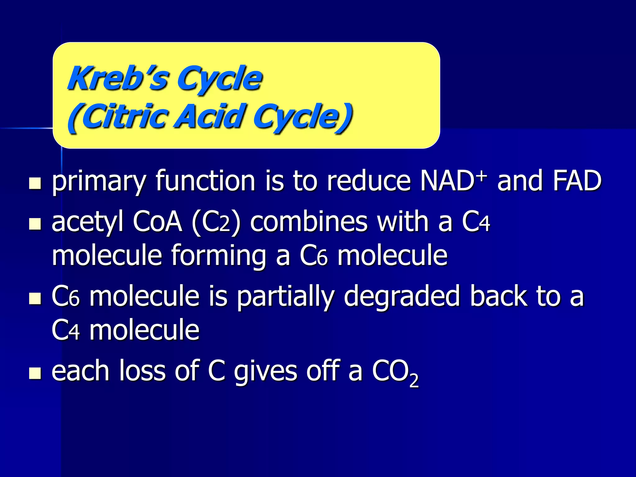 CHO metabolism MDBC803.ppt