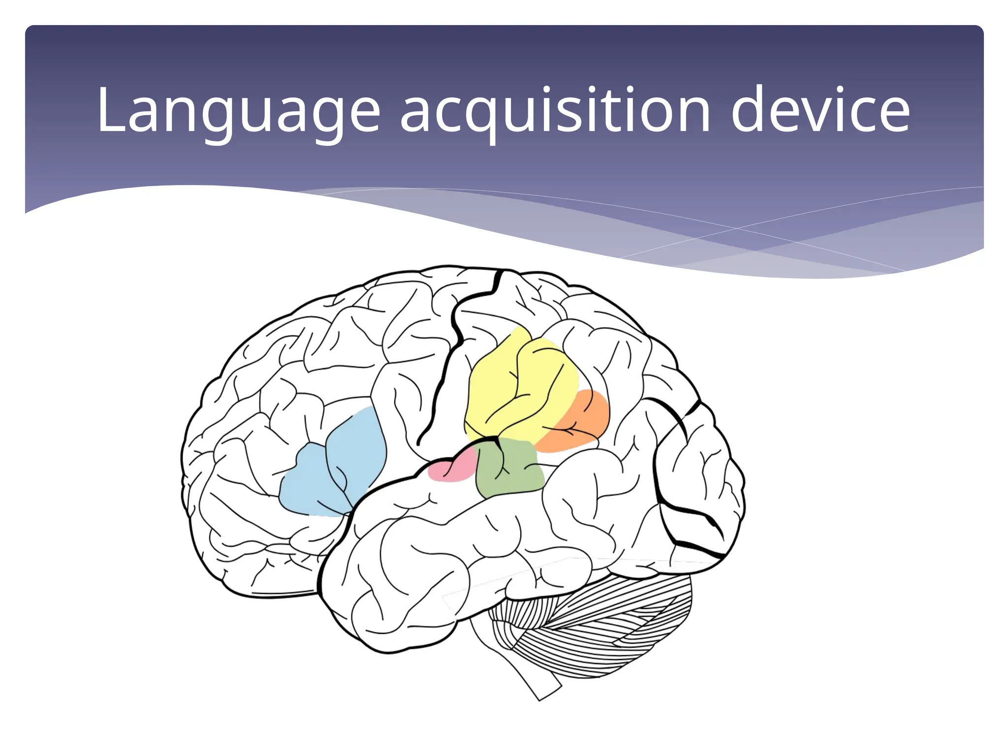 chomsky language acquisition device (1).pptx
