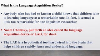 Chomsky new | PPTX | Science