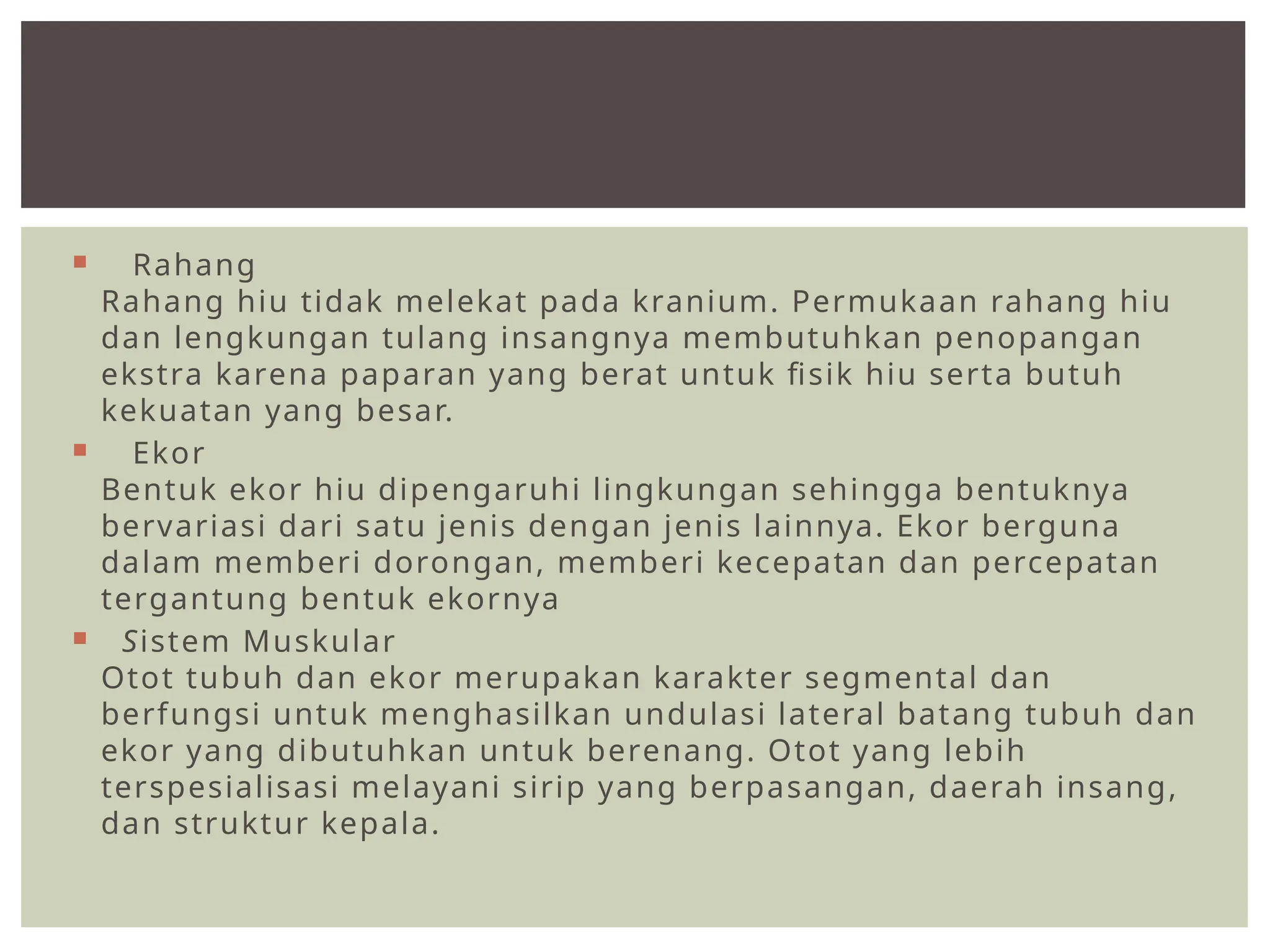 chondrichthyes (Ikan Bertulang Rawan) UNIVERSITAS GUNUNG LEUSER | PPTX
