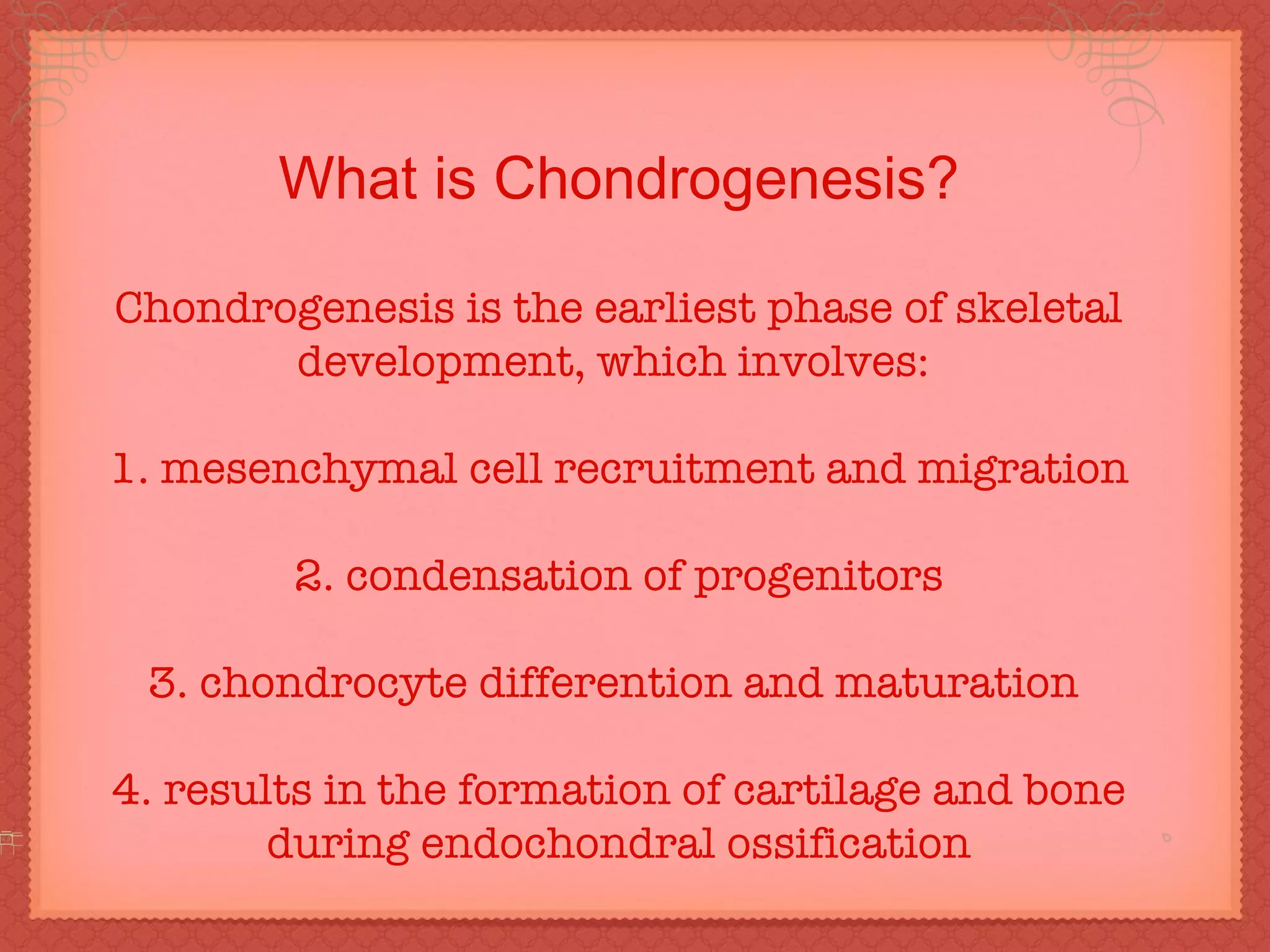 Chondrogenesis Oral Report Updated | PPT