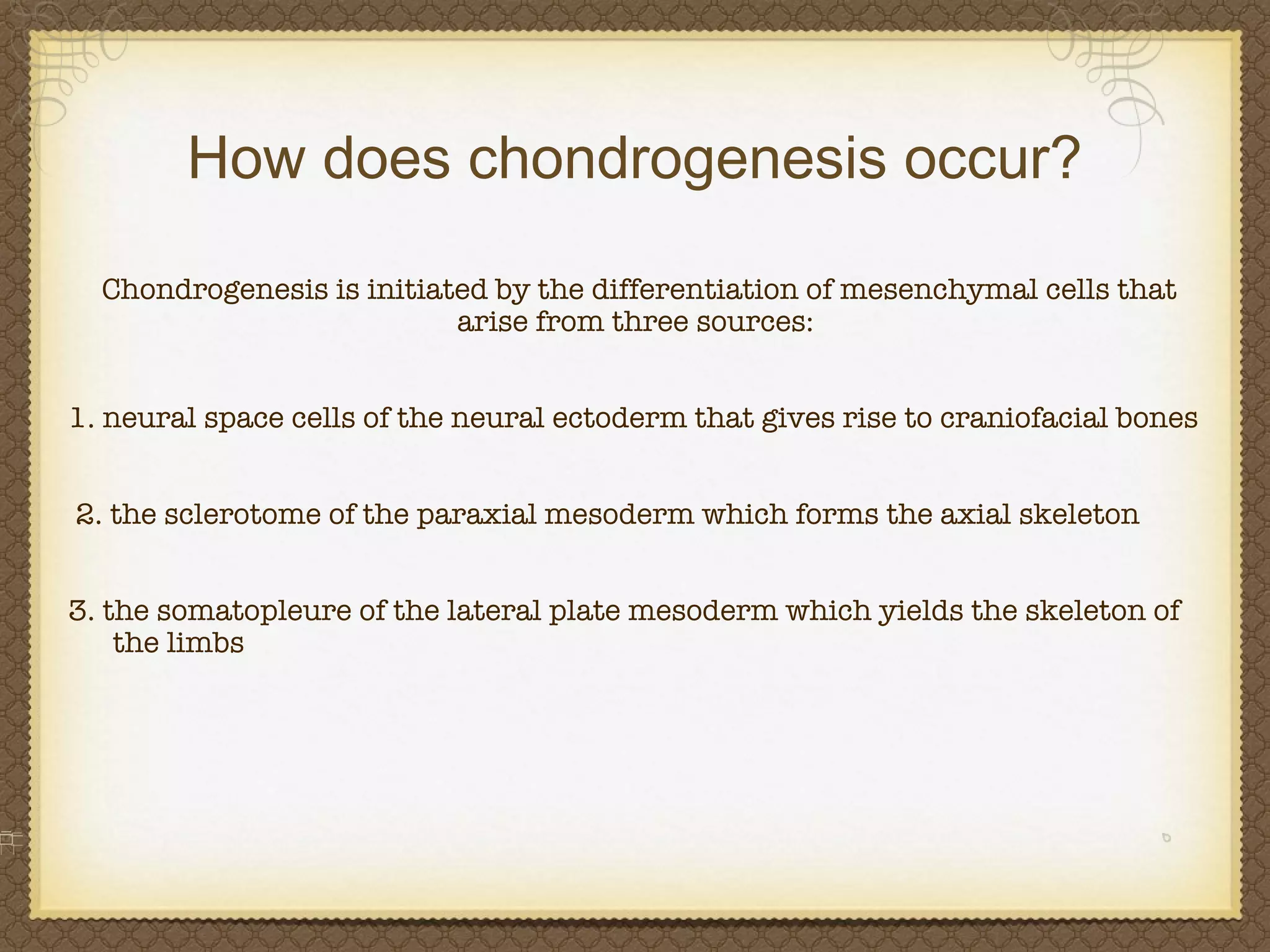 Chondrogenesis Oral Report Updated | PPT