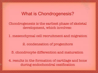Chondrogenesis Oral Report Updated | PPT