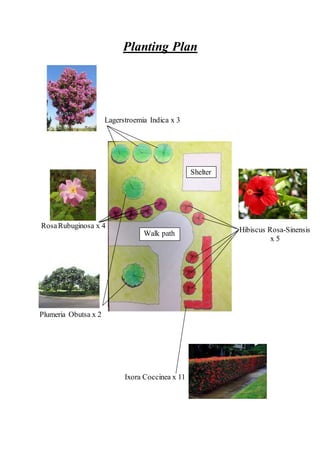 CL - Final Project Report | PDF