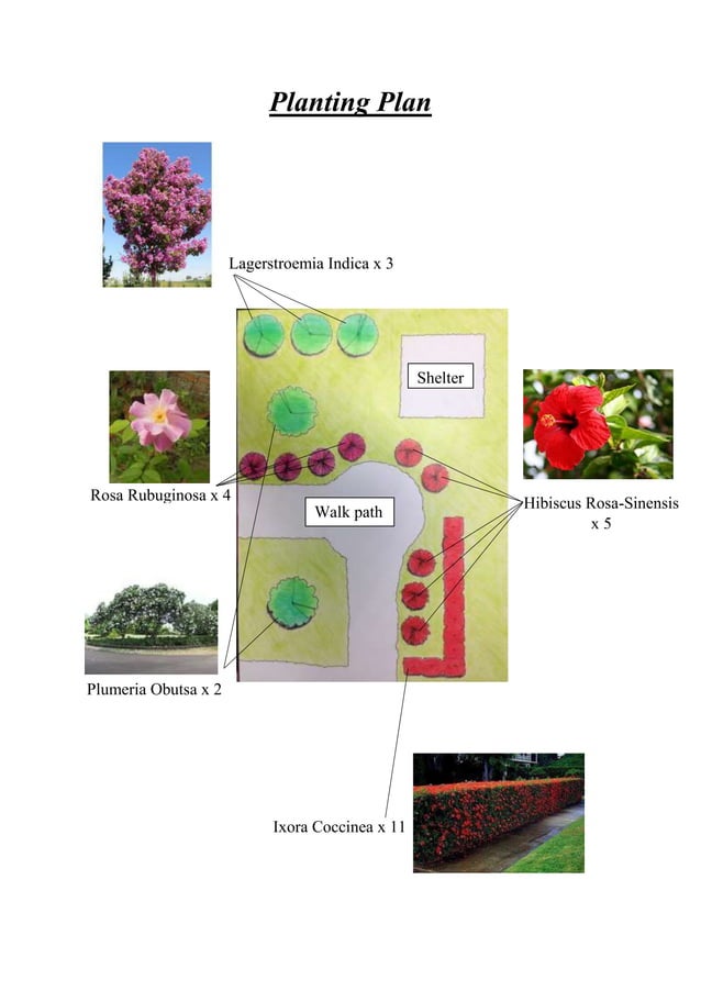 Chong yu xuan cl-report | PDF